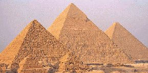 Fossils - Foraminifera