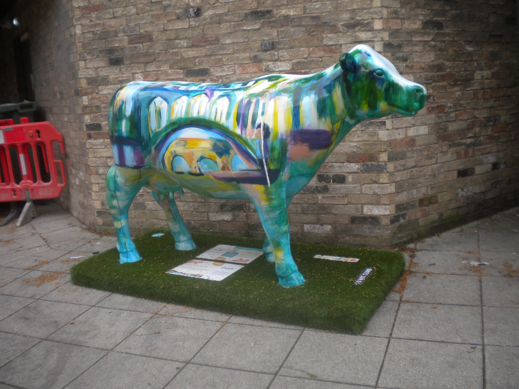 Cambridge cows
