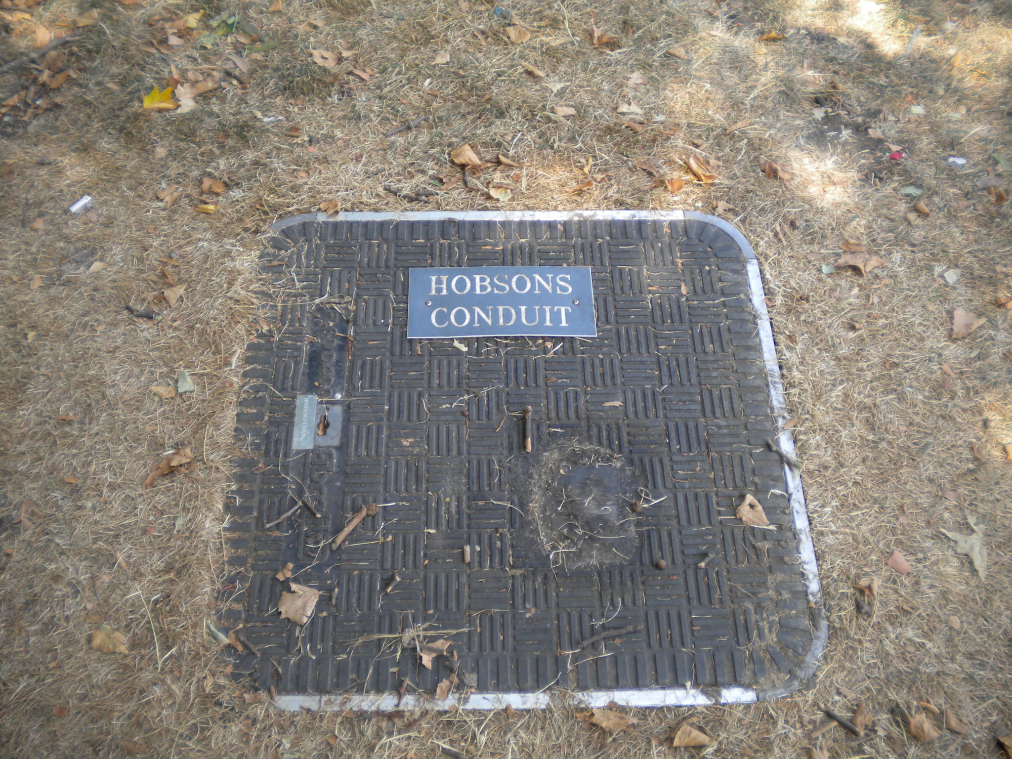 Walks round Cambridge